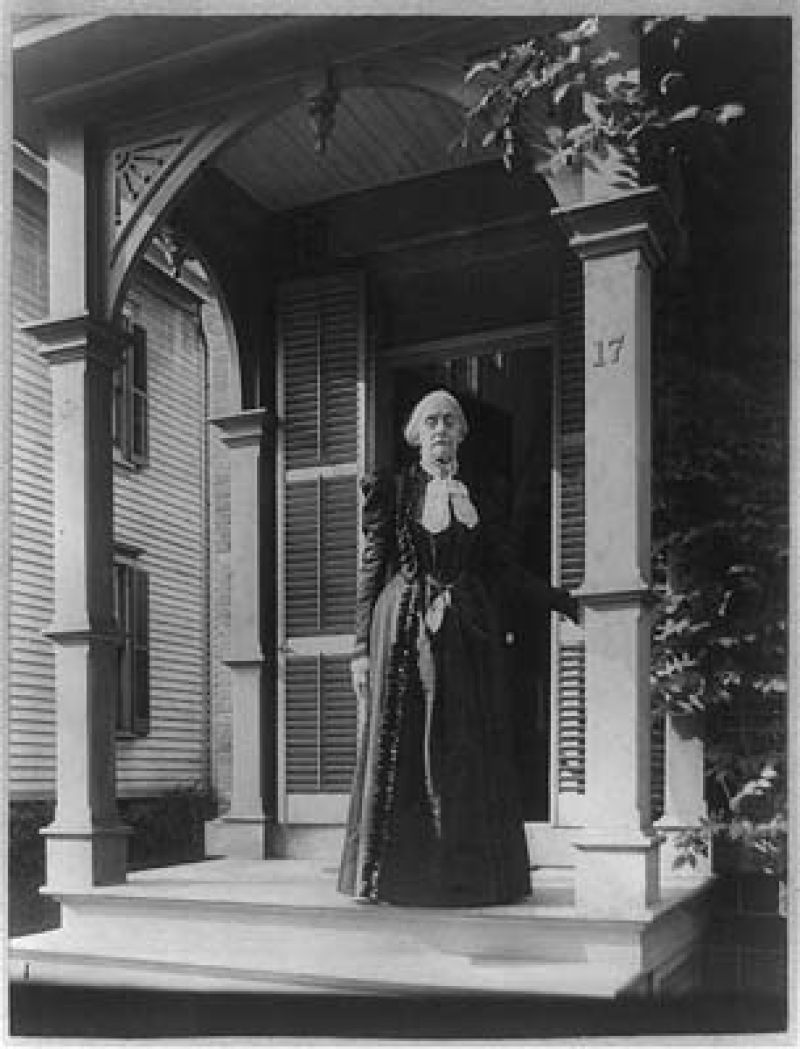 Suffrage March Centennial Anniversary Online Exhibition | Daughters of ...