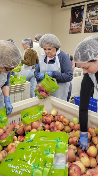 2025 DAR Day of Service Recap | Daughters of the American Revolution